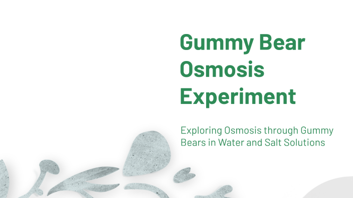 Gummy Bear Osmosis Experiment by Alyssa Cumberland on Prezi