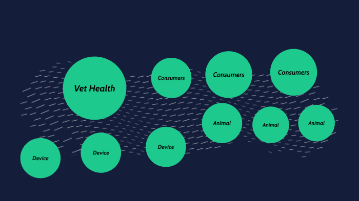 Vet Health Mind Map by Rebekah Cope on Prezi