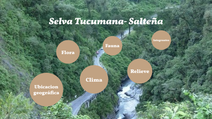 SELVA TUCUMANA SALTEÑA by Tamara Yaquelin Irala on Prezi