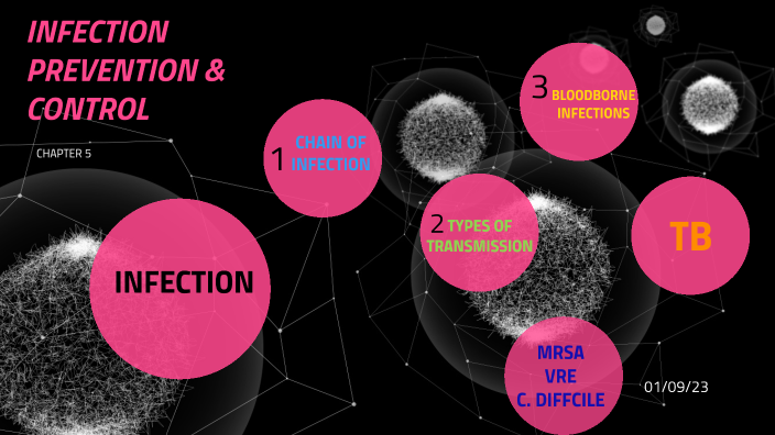 CHAP 5 INFECTION CONTROL by isabel flores on Prezi