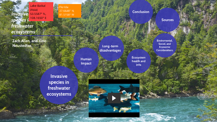 Invasive species in Freshwater Ecosystems by Zachary Allen on Prezi
