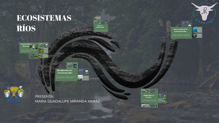 ECOSISTEMAS RÍOS by Maria Guadalupe Miranda Meraz on Prezi