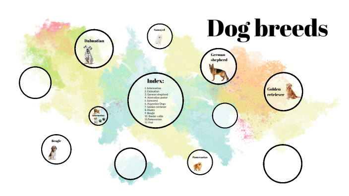 Dog breeds by Anna Zaragoza Casanova on Prezi