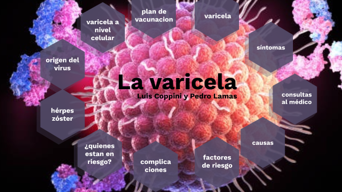 La varicela by pedro lamas on Prezi