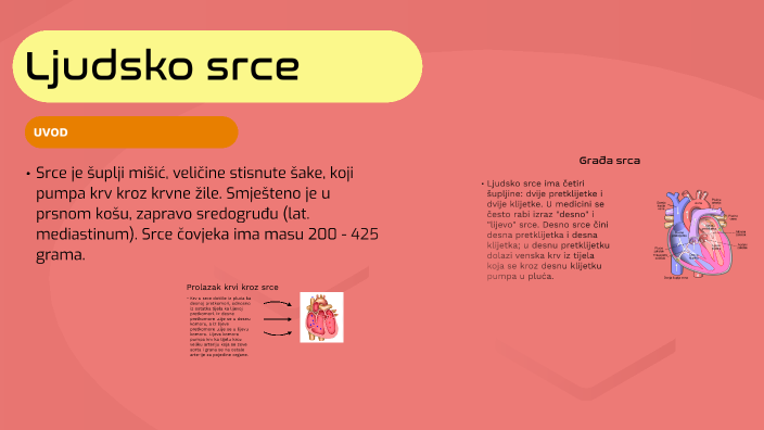 The Human Heart by Ana Katarina Kelava on Prezi