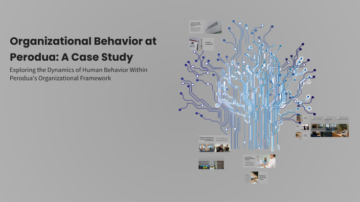 Organizational Behavior at Perodua: A Case Study by Farhana Razlee on Prezi