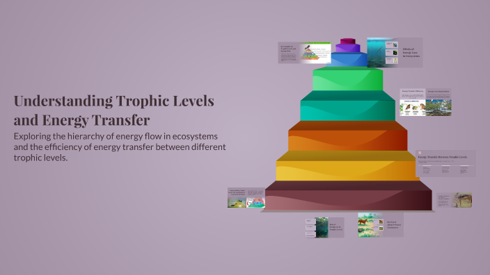 Understanding Trophic Levels and Energy Transfer by Gisel Lans Cuesta ...