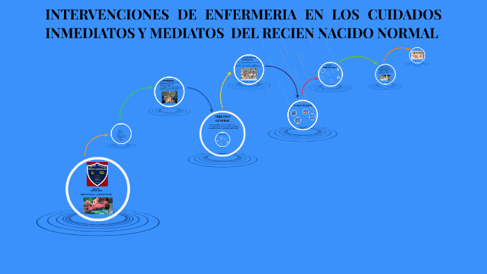 DE ENFERMERIA EN LOS CUIDADOS INMEDIATOS Y MEDIATOS DEL RECIÉN NACIDO ...