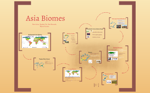 Asia Biomes by Heather Haj on Prezi