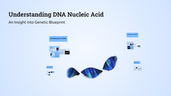 Understanding DNA Nucleic Acid by rowa alkuraty on Prezi