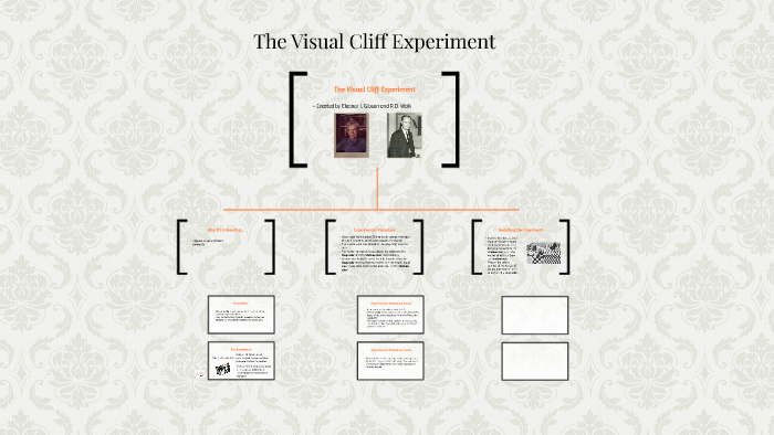 The Visual Cliff Experiment by Angel Collins on Prezi