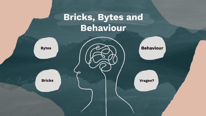Bricks, Bytes and Behaviour by nina mennen