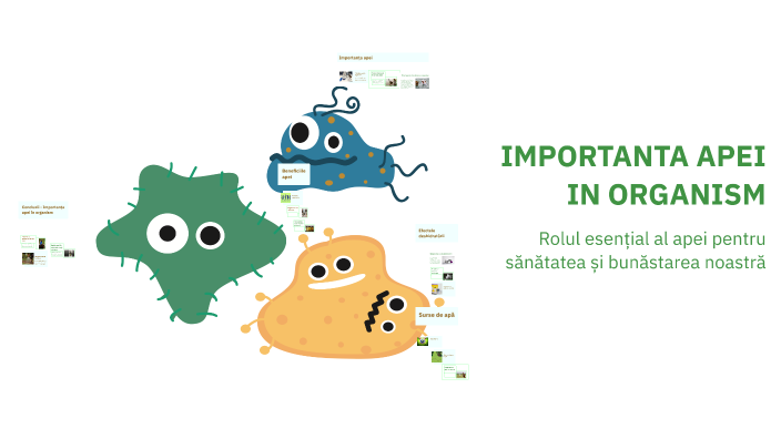 IMPORTANTA APEI IN ORGANISM by julia panica on Prezi