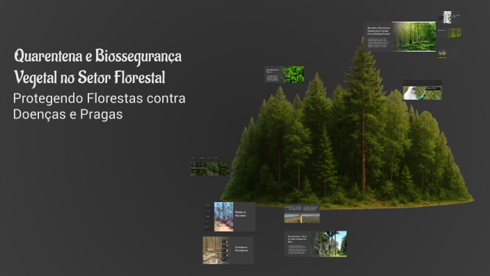 Quarentena e Biossegurança Vegetal no Setor Florestal by ANA KAROLINA ...