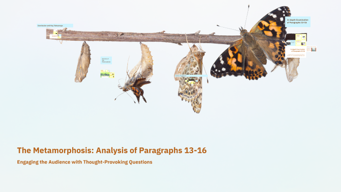 The Metamorphosis: Analysis of Paragraphs 13-16 by baraa boukhari on Prezi