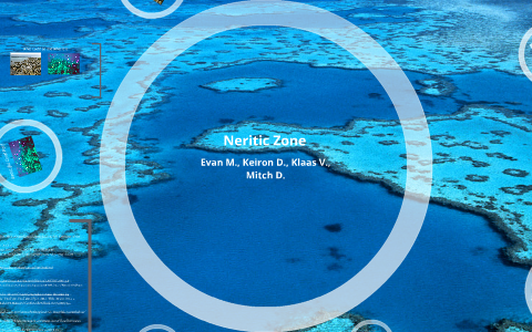 Neritic Zone by Evan Morris on Prezi