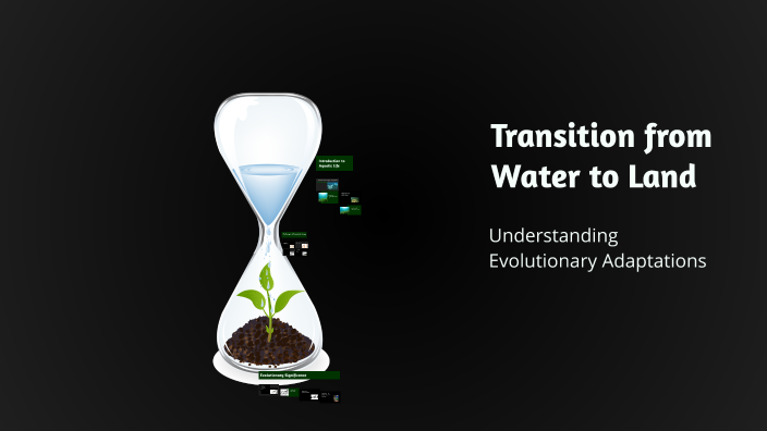Transition from Water to Land by Hattie Hopper on Prezi
