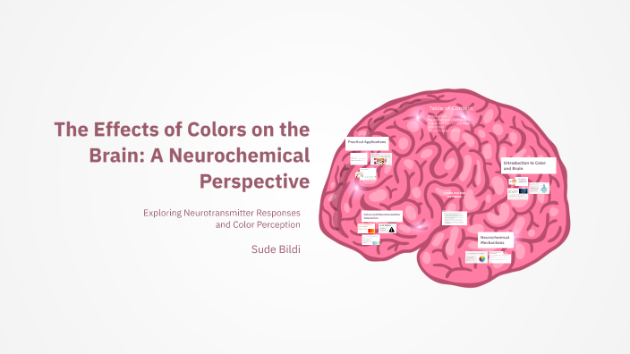 The Effects of Colors on the Brain: A Neurochemical Perspective by Sude ...