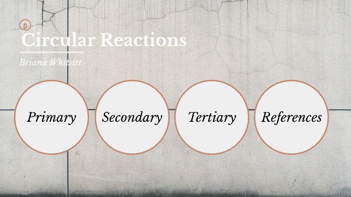 Circular Reactions by Briana Whitsitt on Prezi