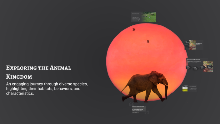 Exploring the Animal Kingdom by Rich kian Carada on Prezi