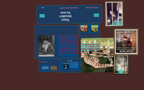 There shouldn't be zoos by phillip chatman on Prezi