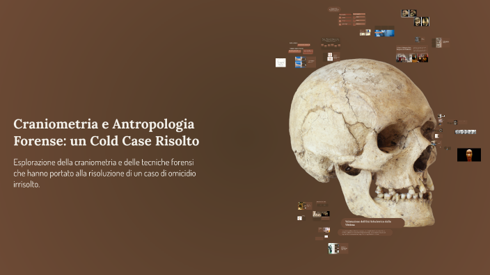 Craniometria e Antropologia Forense by Michela Vitale on Prezi