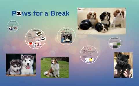 Paws for a Break by Kathy Nguyen on Prezi