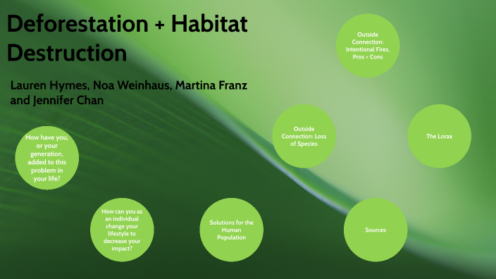 HIPPCO World Problem - Deforestation + Habitat Destruction by Lauren ...