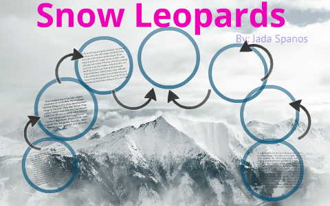 Ms. Plyler - Snow Leopard Research Project by Jada Spanos on Prezi