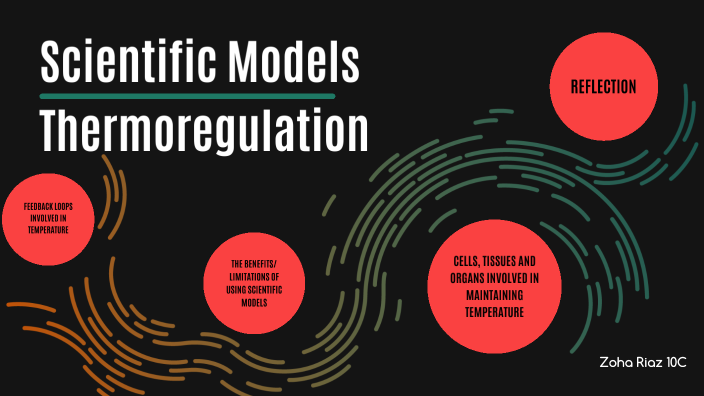 Scientific models - Thermoregulation by Zoha R on Prezi