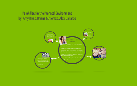 Painkillers in the Prenatal Environment by Bree Ali Mary