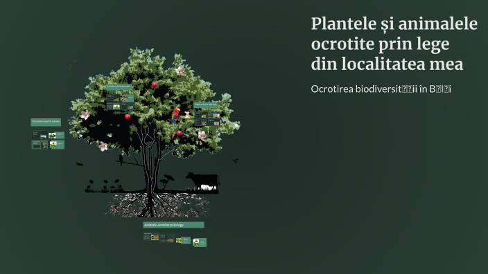 Plantele și animalele ocrotite prin lege din localitatea mea by Ciprian ...