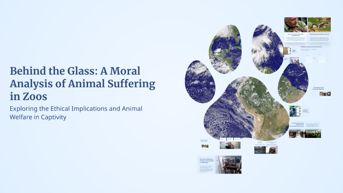 Behind the Glass: A Moral Analysis of Animal Suffering in Zoos by ...