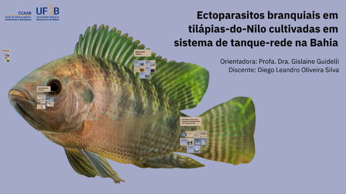 Ectoparasitas Branquiais em Tilápias-do-Nilo by Diego Leandro on Prezi