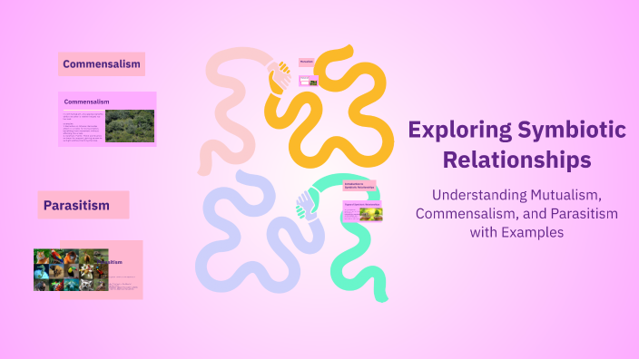 Exploring Symbiotic Relationships by Mallory Collier on Prezi
