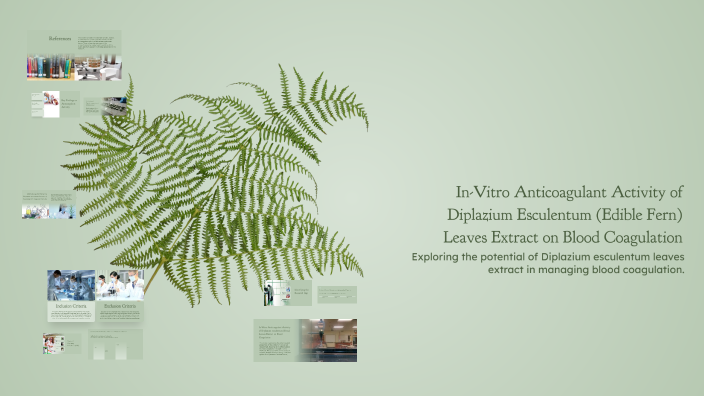 In-Vitro Anticoagulant Activity of Diplazium Esculentum (Edible Fern ...