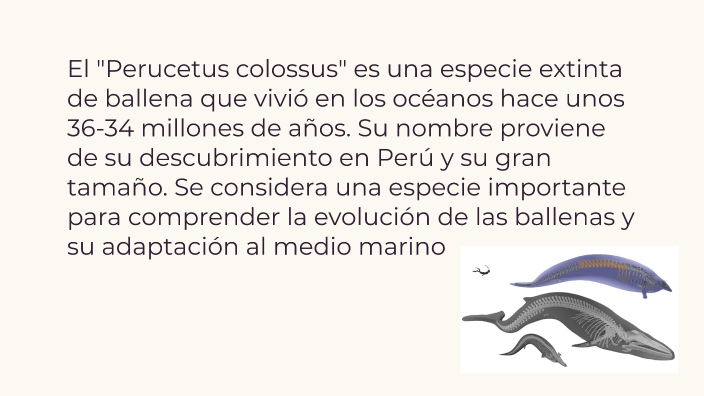 el Perucetus Colossus by Nicole Andrea Barrios Taipe on Prezi