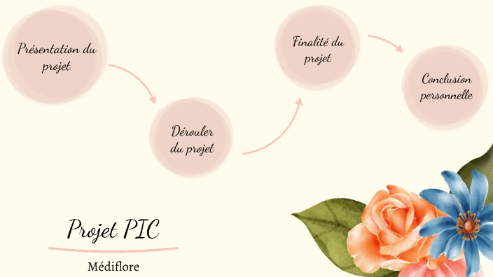 Projet Pic by Audrey Beaumont on Prezi