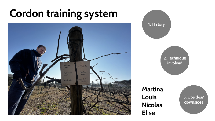 Cordon training system by Elise Douaud on Prezi