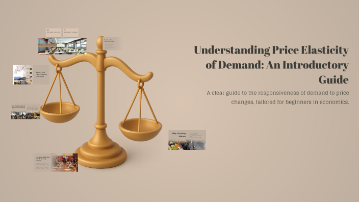 Understanding Price Elasticity of Demand: An Introductory Guide by ...