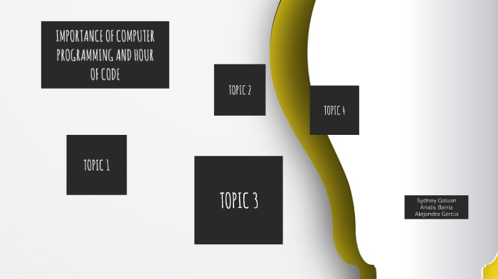 Importance of Computer Programming and Hour of Code Today by alejandra ...