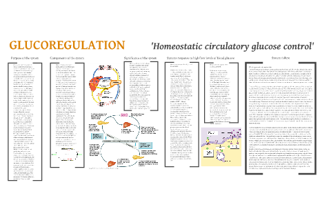 GLUCOREGULATION by David Penney on Prezi