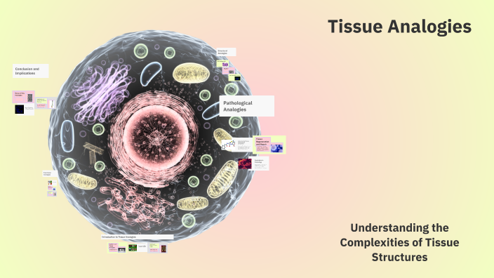 Tissue Analogies by terren thomas on Prezi