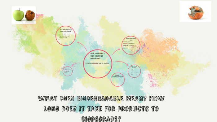 How long does it take things to biodegrade? by felix cat on Prezi