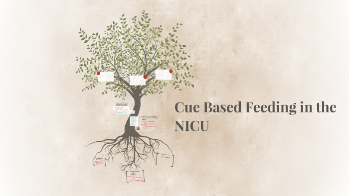 Cue Based Feeding in the NICU by Brittney Butler on Prezi