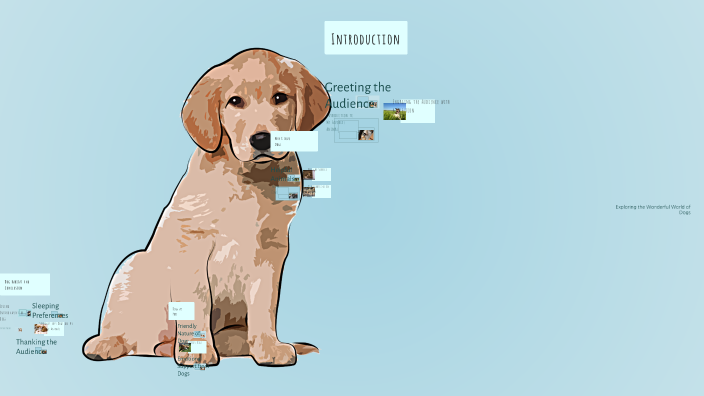 My Favorite Animal and Its Habitat by Alexia Yoon on Prezi