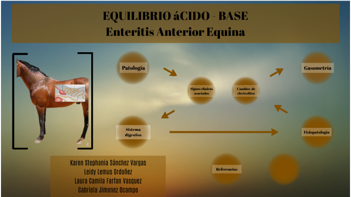 Enteritis anterior Equina by laura farfan on Prezi