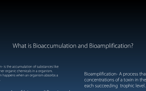 Bioaccumulation VS Bioamplification by Heather Morris on Prezi