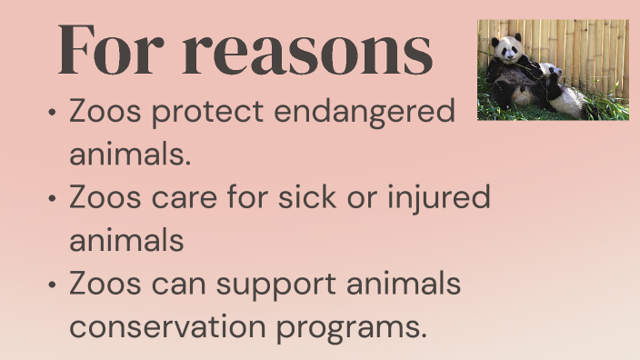 I like the Zoos because they look after the animals. they let the ...