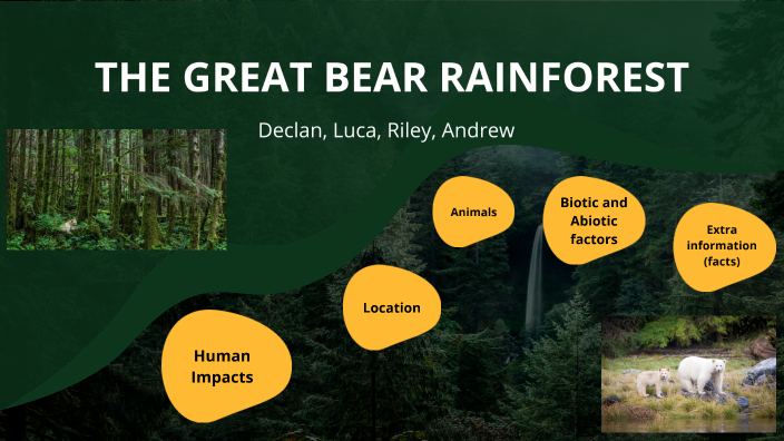 The Great Bear Rainforest by Luca Tullio on Prezi